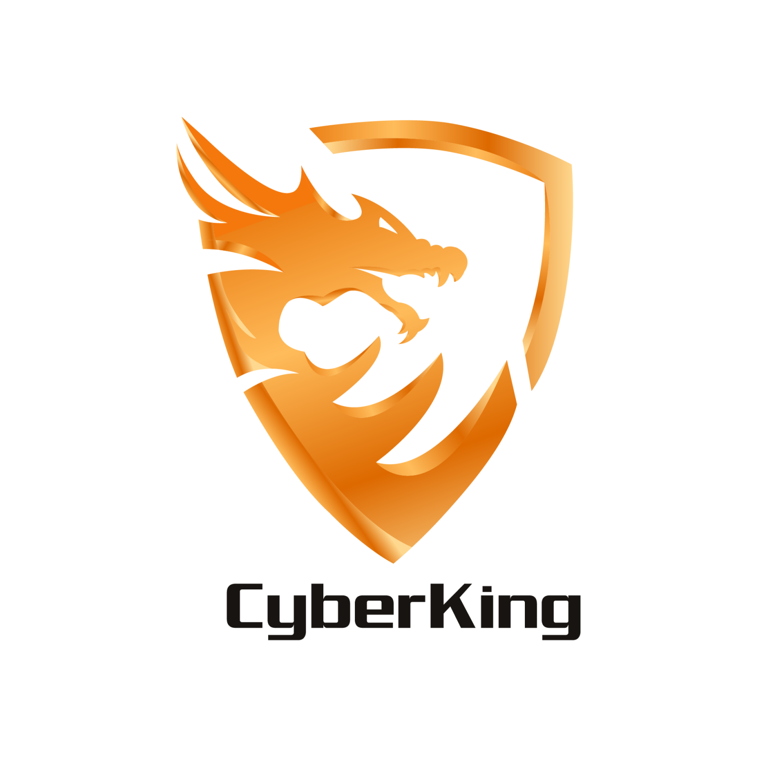 CyberKing - Lắp Đặt Phòng Game, Phòng Net Trọn Gói #1️⃣